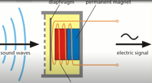 How to Use a Microphone with Arduino? - ElectronicsHacks