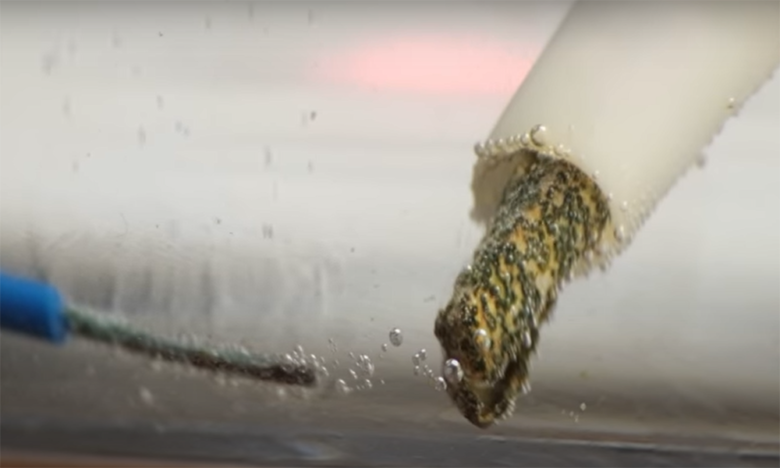 Why Does Water Ruin Electronics? - ElectronicsHacks