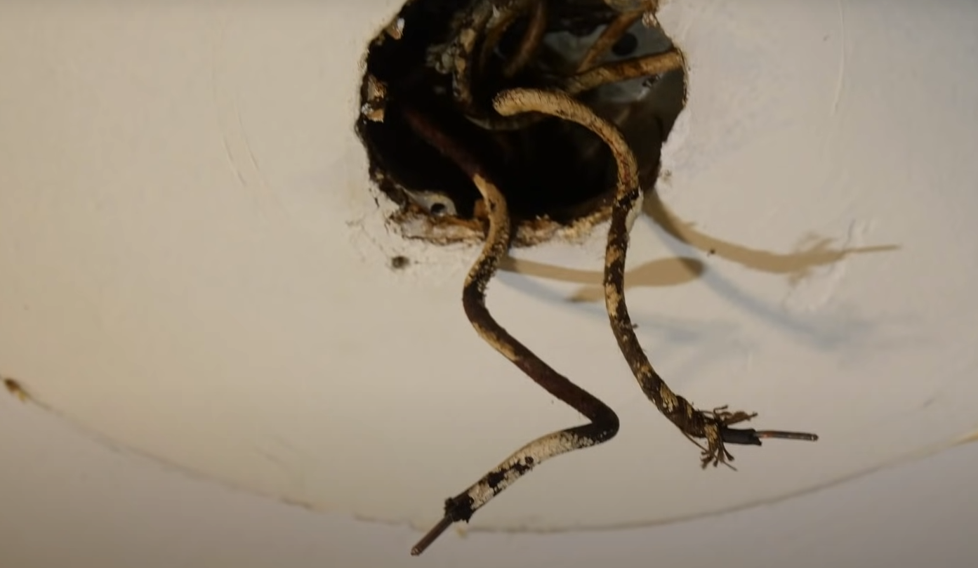 How to Identify Hot and Neutral Wire on Lamp Cord? - ElectronicsHacks